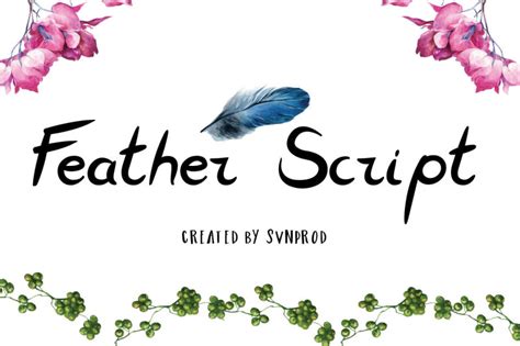 free font feather script by thehungryjpeg thehungryjpeg