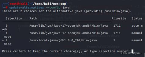 Kali安装java8和切换jdk版本的详细过程kali安装jdk8 Csdn博客