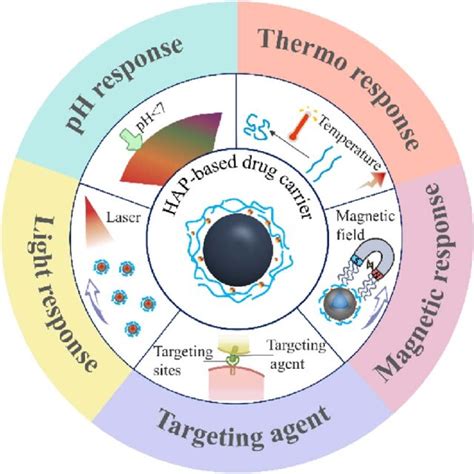 Schematic Diagram Of The Responsiveness Of Hap Based Carriers Download Scientific Diagram