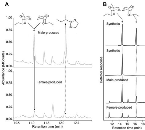 5 A Total Ion Chromatograms Of Volatile Components Emanating From