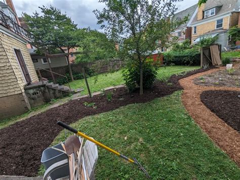 Enjoying This Yard Conversion Rnolawns