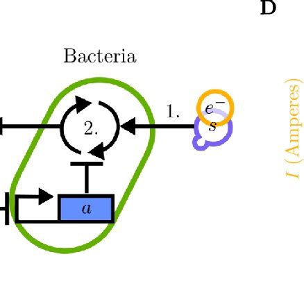 An Overview Of The Electrogenetic Toggle Switch Design A Diagram Download Scientific Diagram