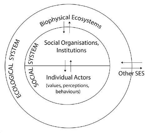 What Is A Ecological System Framework