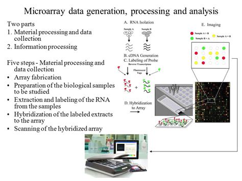 Microarray Introduction Ppt Download