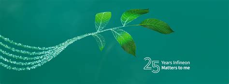 Microchip Technology Inc Use The Internal Opamps To Protect Persons And Property On Our Avr