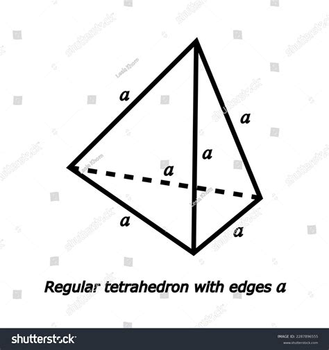 Regular Tetrahedron Vector Illustration Science Education Stock Vector