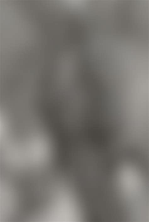 Spoiler Media The Admirer Halibel Rrezero