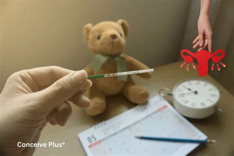 Ovulation Test Instruction Use It Correct Conceive Plus® Conceive Plus® Online Store