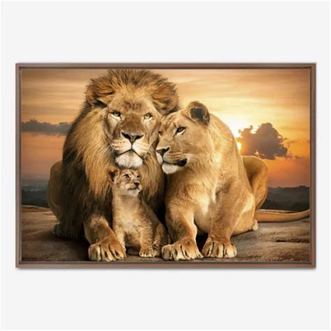 Quadro Decorativo Casal De Leões E Um Filhote Pôr Do Sol Santorini