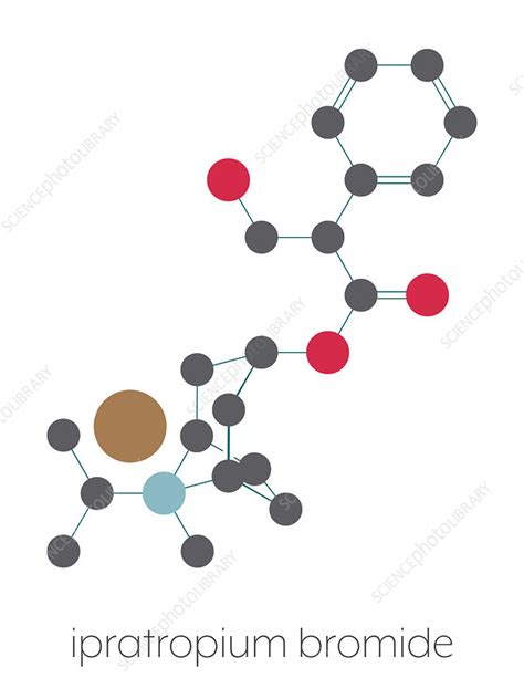 Ipratropium Structure Solved Atropine 1 And Ipratropium Bromide Ii