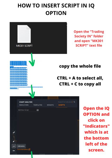 How To Insert SCRIPT In IQ OPTION