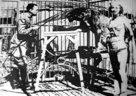 Sideshow World Sideshow Performers From Around The World