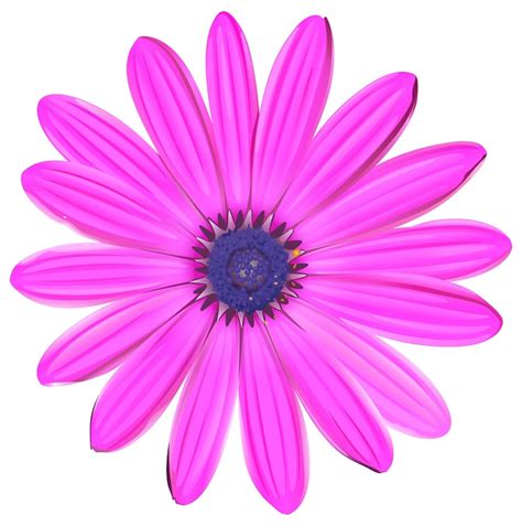 Bloem Met Hoge Resolutie Png Afbeeldingen Gratis Downloaden Op Freepik