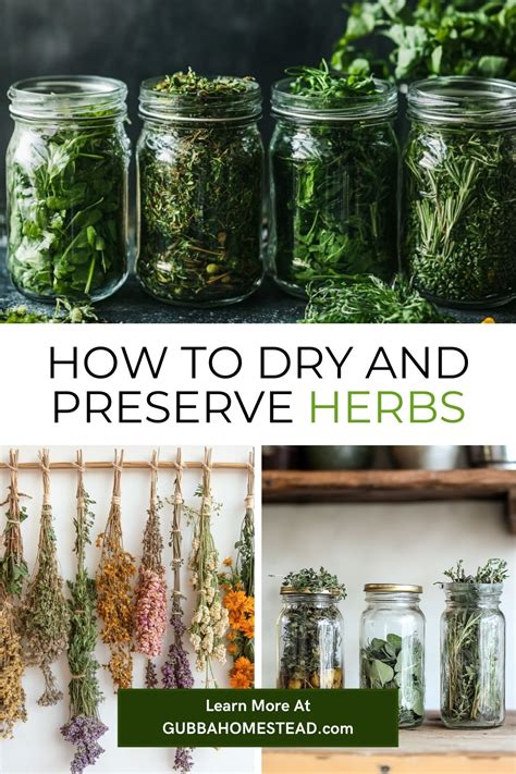 How To Dry And Preserve Herbs A Comprehensive Guide Drying Fresh