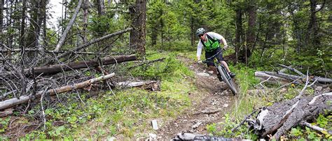 Continental Trail King Tire | Blister