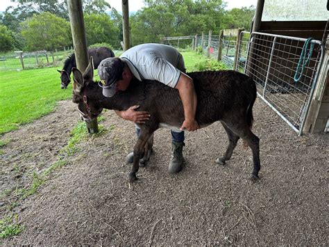 Engle End Farm Appreciation Post This Is Shane Every Facebook