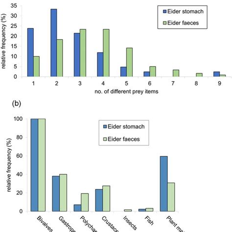 Microplastic Filaments Found In A Stomach Sample From A Shelduck