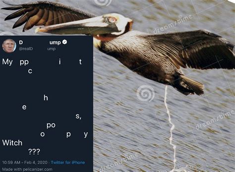 Correlation Does Not Equal Causation Othepelican