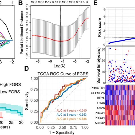 Lasso Regression Analysis And Prediction Effect In The Tcga Skcm