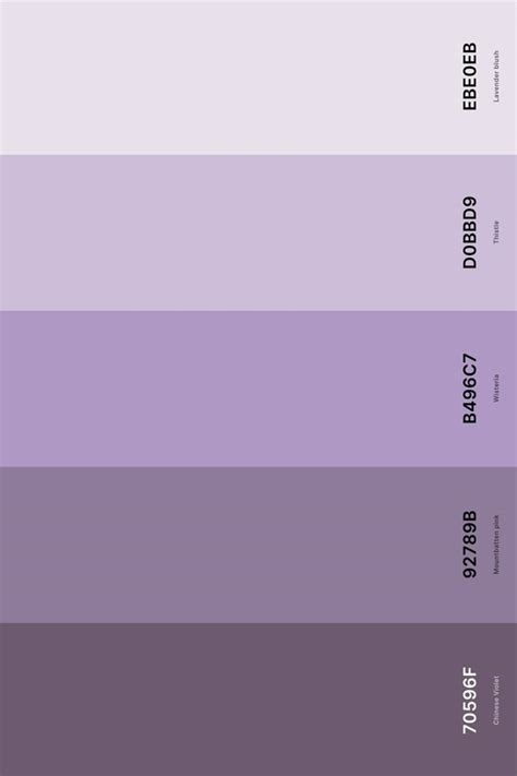 Dark Mauve Color Palette With Licorice