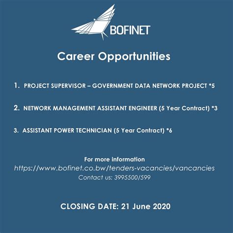Bofinet Globallyconnectingbotswana Botswana Fibre Networks Bofinet