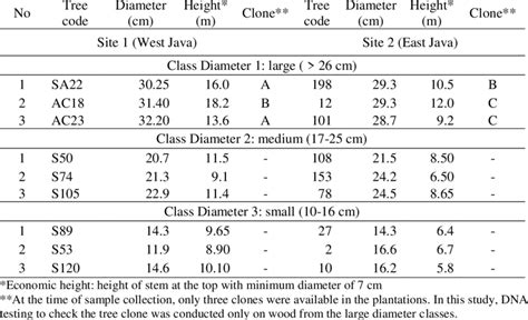 Tree Selection Used In The Study Download Scientific Diagram