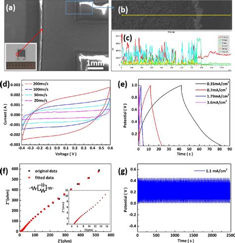 Ac Microstructure And Composition Of The Assembled Interdigital Download Scientific Diagram