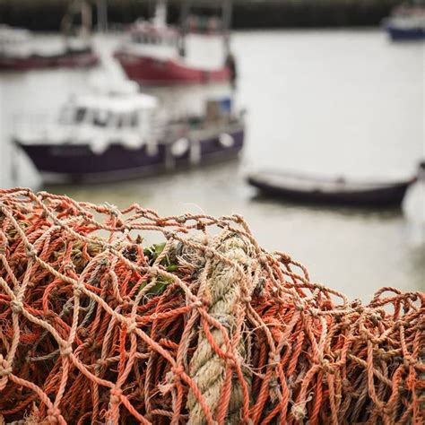 Types Of Fishing Nets A Comprehensive Guide