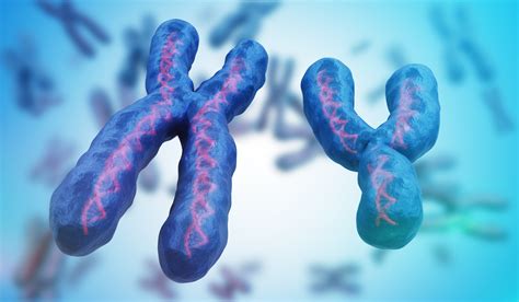 Diagnosis Of Chromosomal Abnormalities Fdna Health
