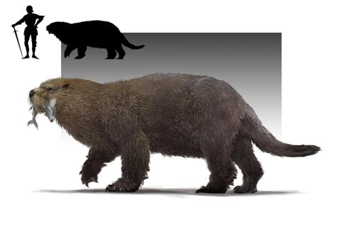 The Otter Bear From Chronicles Of Elyria Rspeculativeevolution