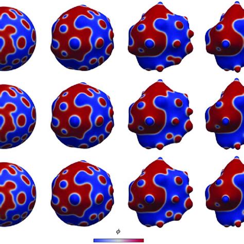 Ab Snapshots Of The Relaxation Of The Two Component Fluid Deformable