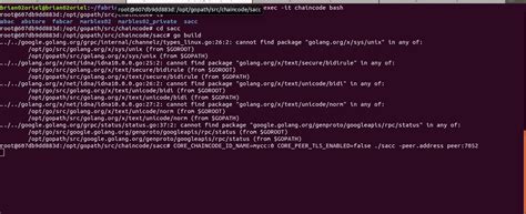 docker container hyperledger fabric tools cli doesn t run for go