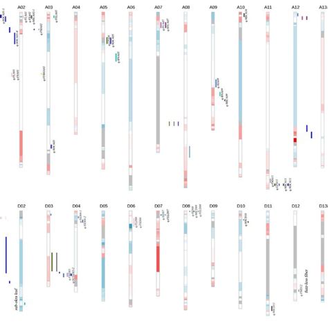 Wild Relatives Of Maize And Their Origin Download Scientific Diagram