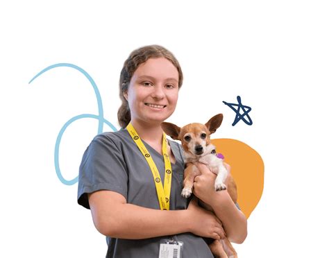Veterinary Assistant Certificate Program Carrington College