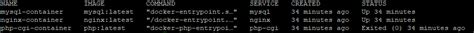 Php Docker Container Doesn`t Start With Compose File Without