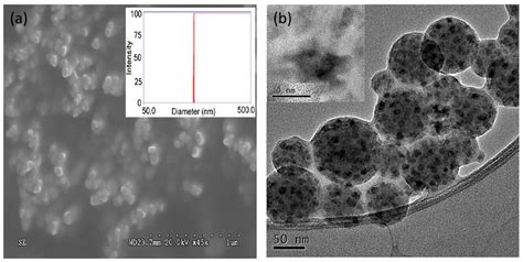 A Ratiometric Fluorescence Nano Ph Biosensor For Live Cell Imaging Using Cerasome