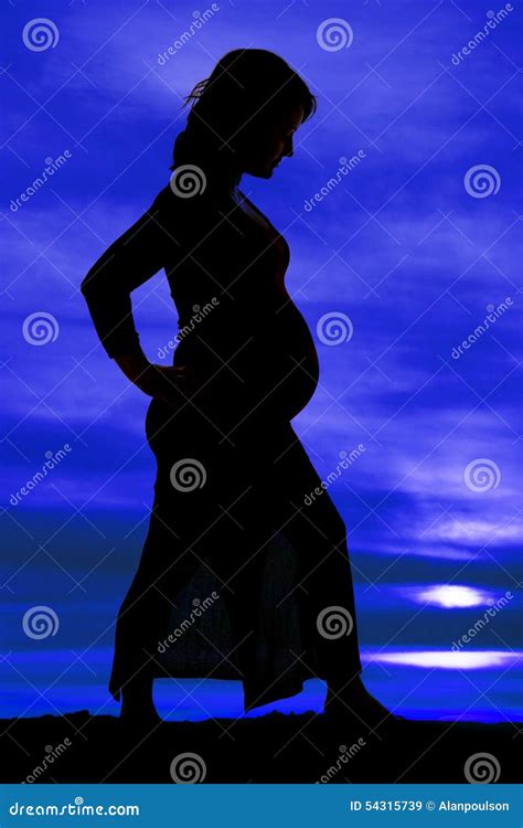 Silhouette Of Woman In Dress Pregnant From Side Stock Image Image Of