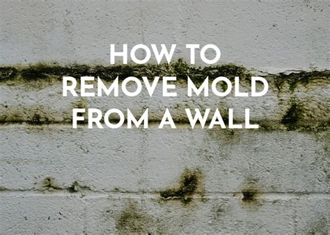 How To Get Rid Of Mould On Walls Effective Removal And Prevention Tips