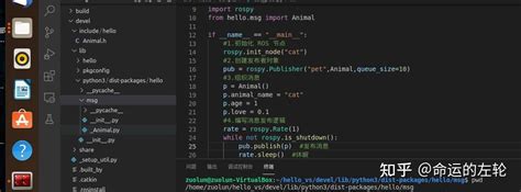 ros自定义msg文件python版 知乎