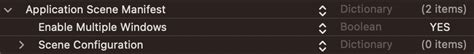 Xcode Infoplist Contained No Uiscene Configuration Dictionary