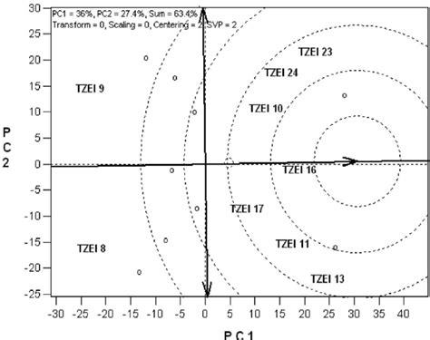 vector view of the genotype plus genotype × environment biplot showing