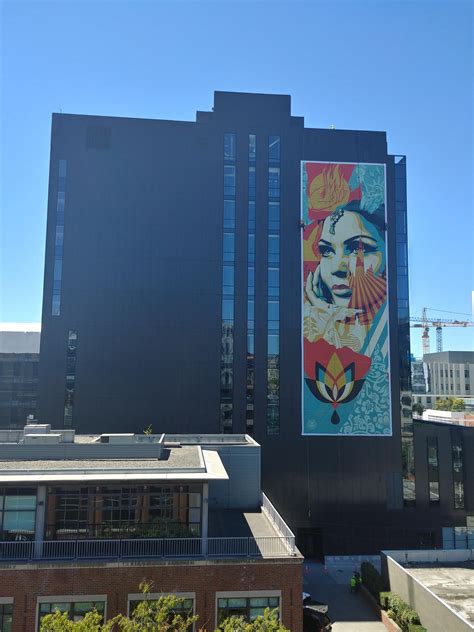 Massive Bannermural 8 Stories Tall That Just Went Up In South Lake