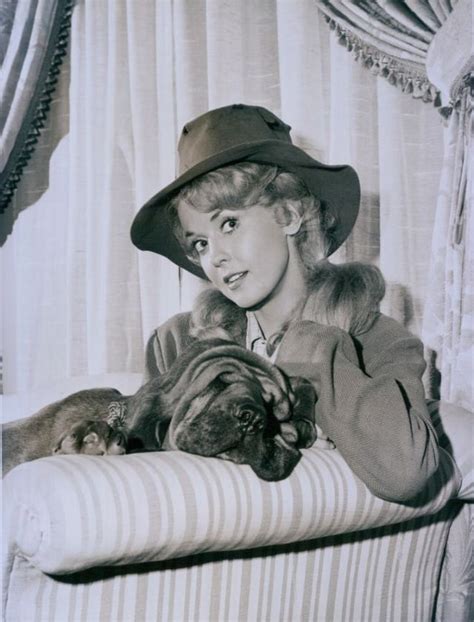19 The Beverly Hillbillies Ideas Donna Douglas The Beverly
