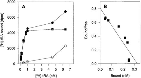 Saturation Binding A And Scatchard Plot Analyses B For The Binding