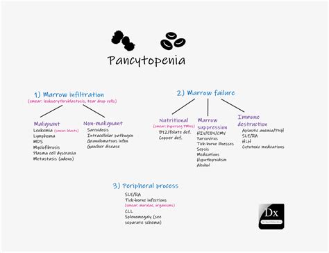 Dx Schema Pancytopenia The Clinical Problem Solvers