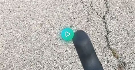 Stealthy Ride With No Hub Sound Rgravelcycling