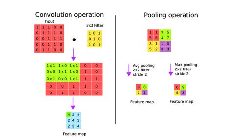 Cnns Fundamental Operations On The Left Panel A Convolution