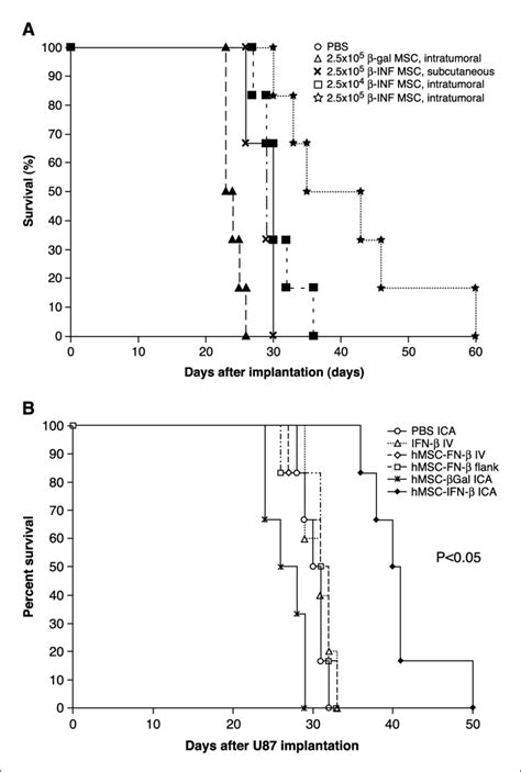 A Survival Of Mice After Intracranial Intratumoral Injection Of Download Scientific Diagram