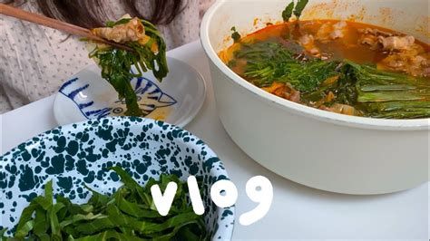 Vlog 한 살 더 먹기 싫은 그저 평범한 자취생의 집밥 브이로그☀️등촌 쪼금 부러운 얼큰 샤브샤브 숙주나물 불닭볶음면 사과랑 땅콩버터 그리고 해안돋이 Youtube