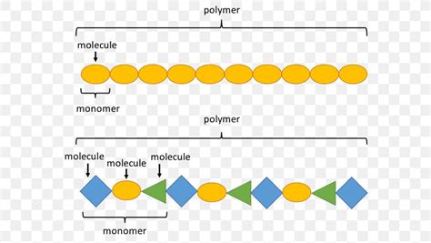 Polymer Reactions Plastic Polymer Chemistry Polymerization Png 580x463px Polymer Acrylate